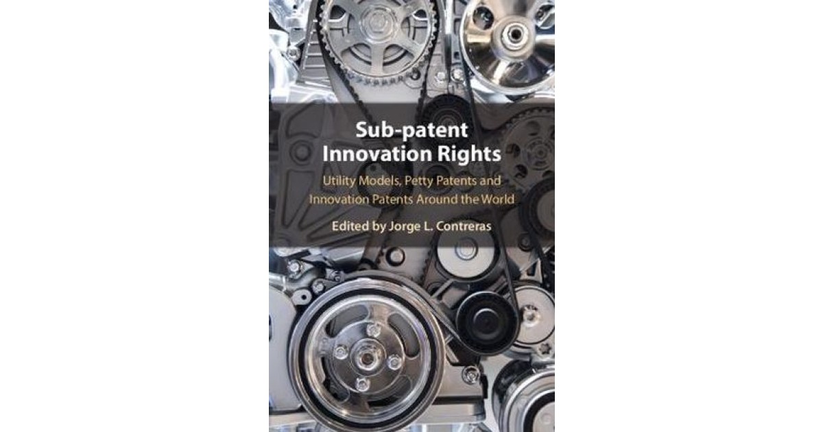 Sub-Patent Innovation Rights: Utility Models, Petty Patents and ...