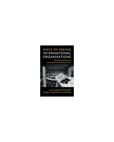 Ways of Seeing International Organisations: New Perspectives for ...