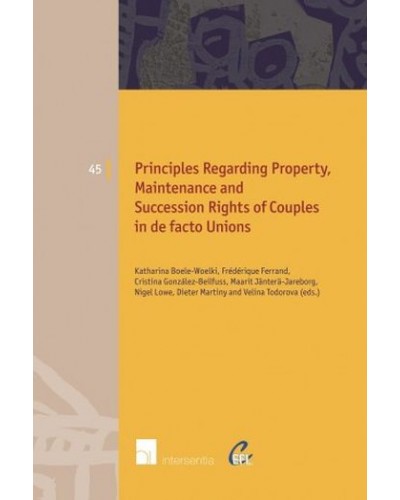 Principles Regarding Property, Maintenance and Succession Rights of ...