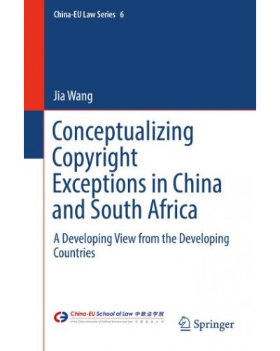 Conceptualizing Copyright Exceptions in China and South Africa: A ...